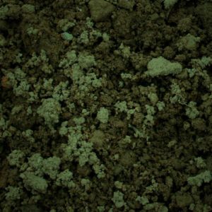 Borrow / Common Fill - Elm City Materials Inc.